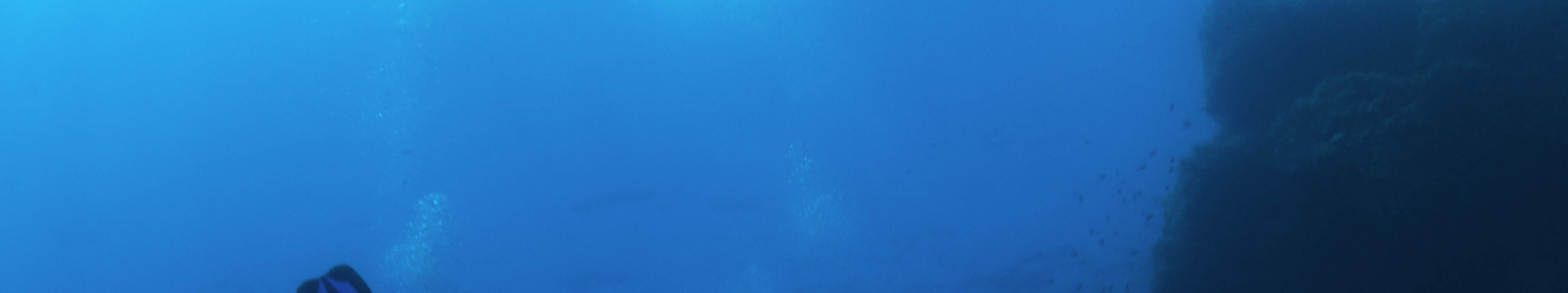 Padi 高級開放水域潛水員在線學習撒丁島頂級五星級潛水度假村 Klook 客路